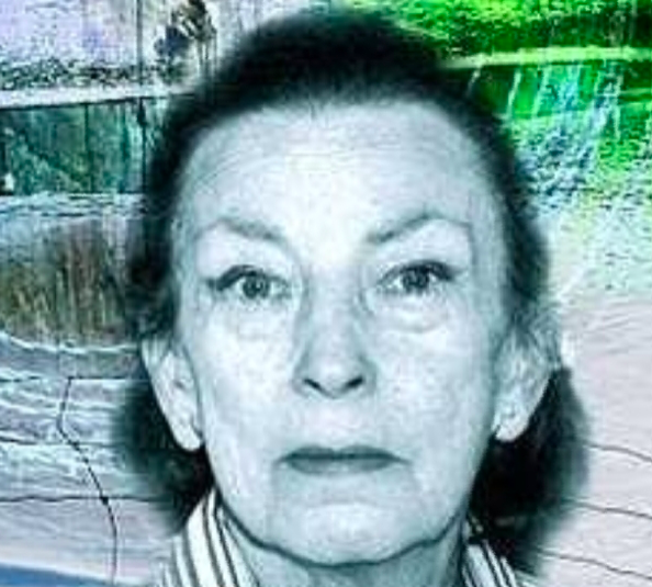 Anne Holm - Author of I am David.png | The Heritage Portal